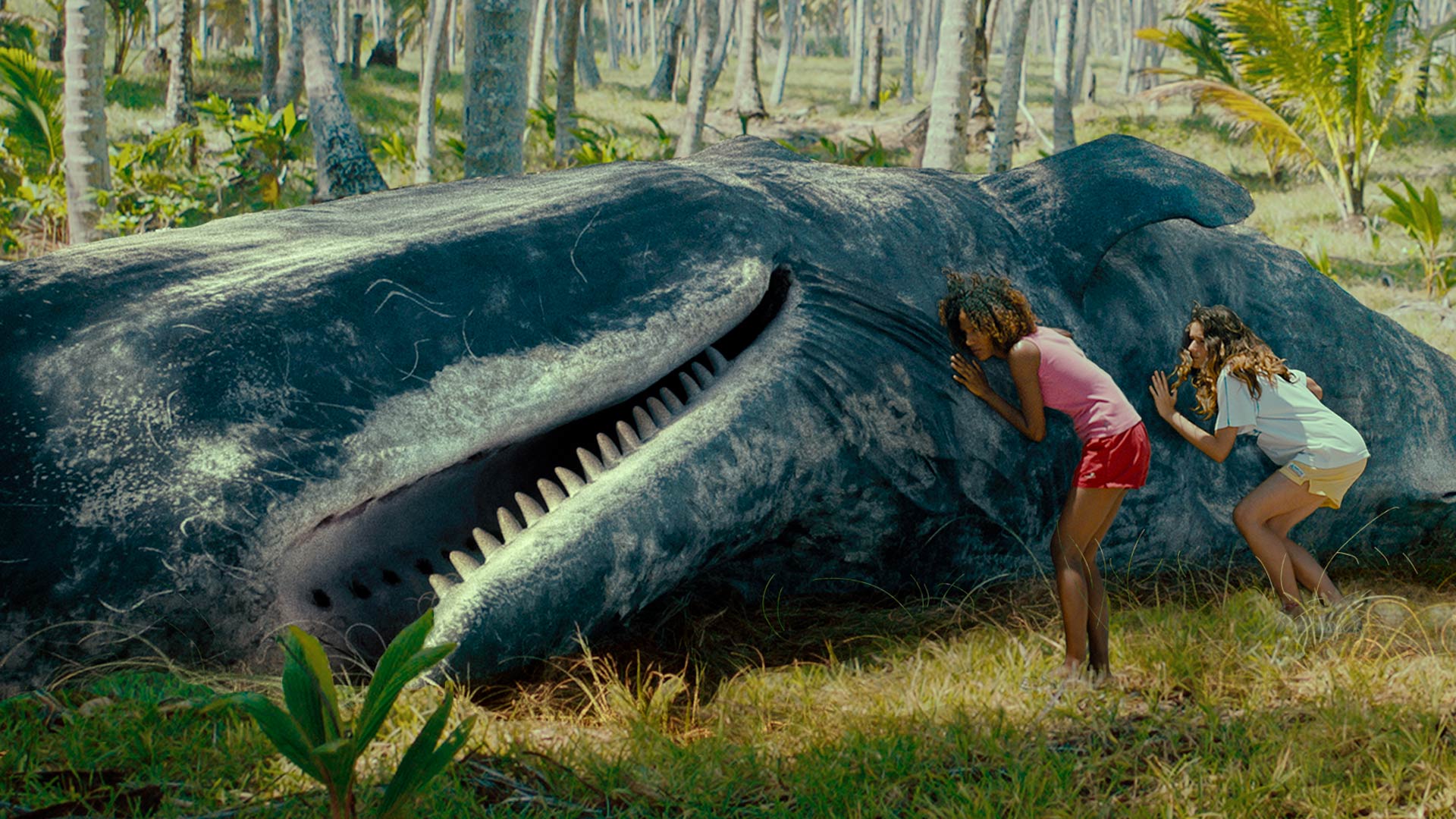 Programme - Cinema Trindade